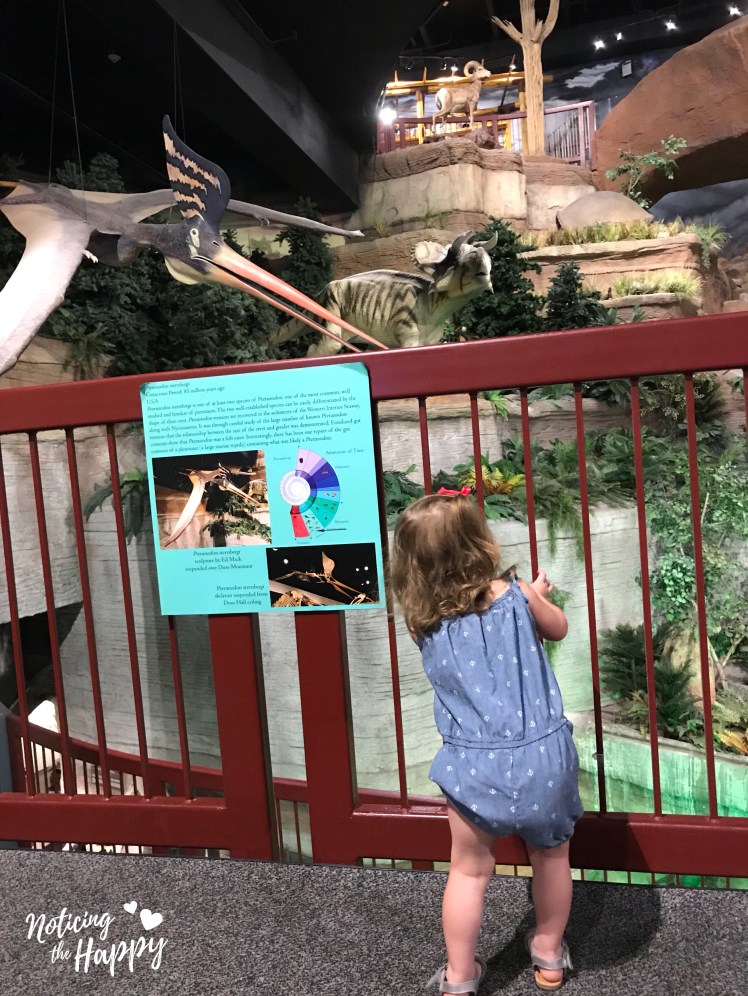 Dinosaur Week – Noticing the Happy