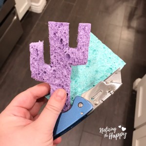 Cactus Sponge Experiment – Noticing the Happy