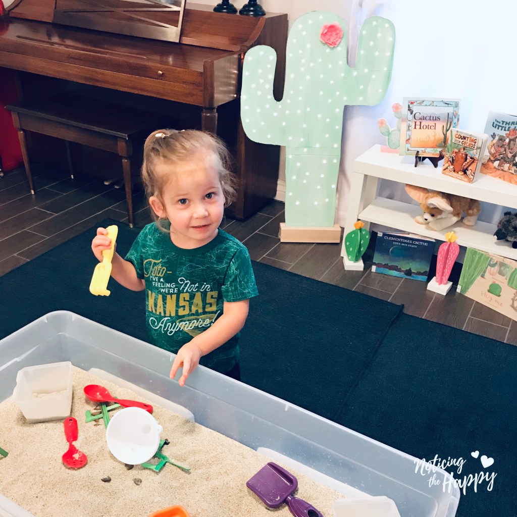 Desert Sensory Bin – Noticing the Happy