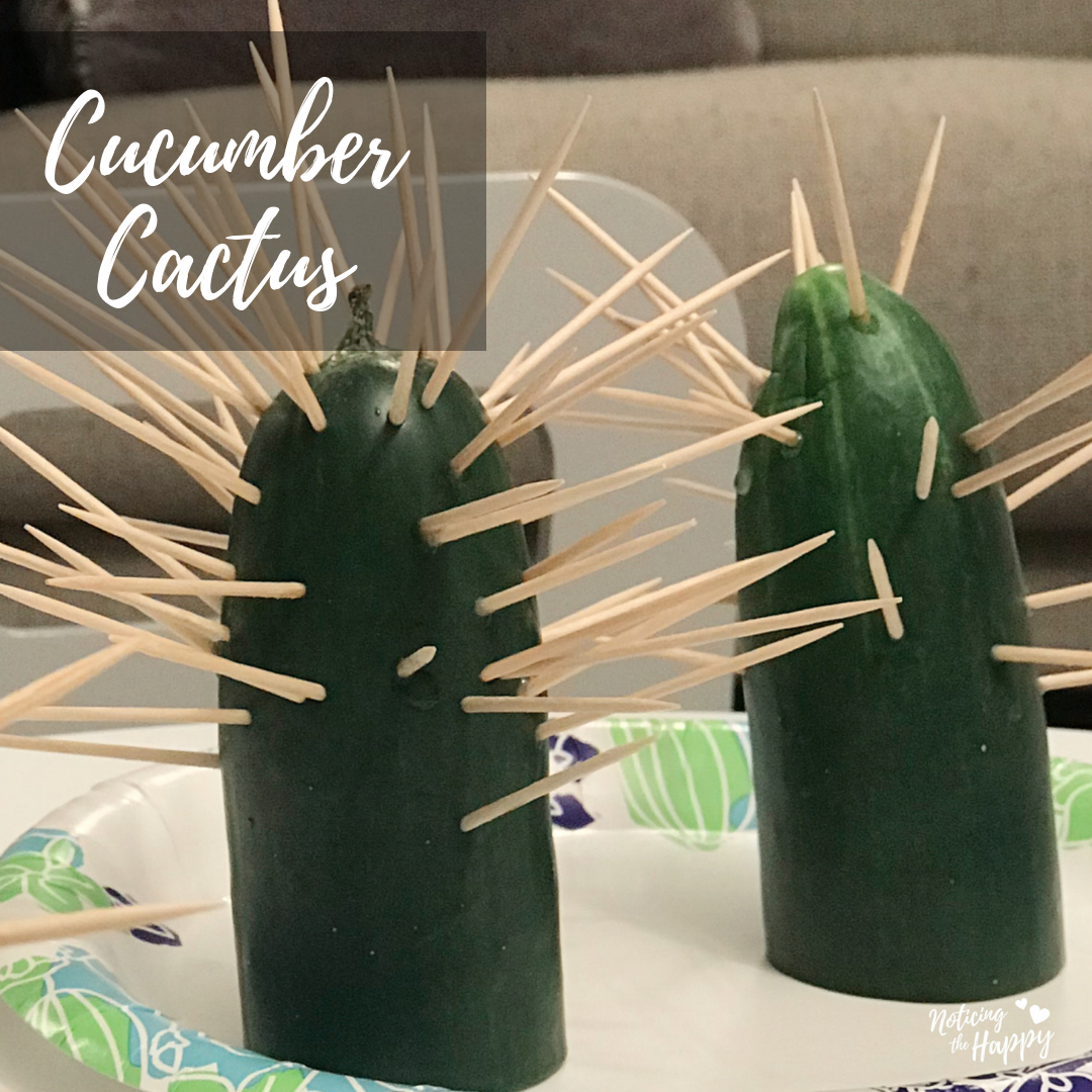 Cucumber Cactus – Noticing the Happy