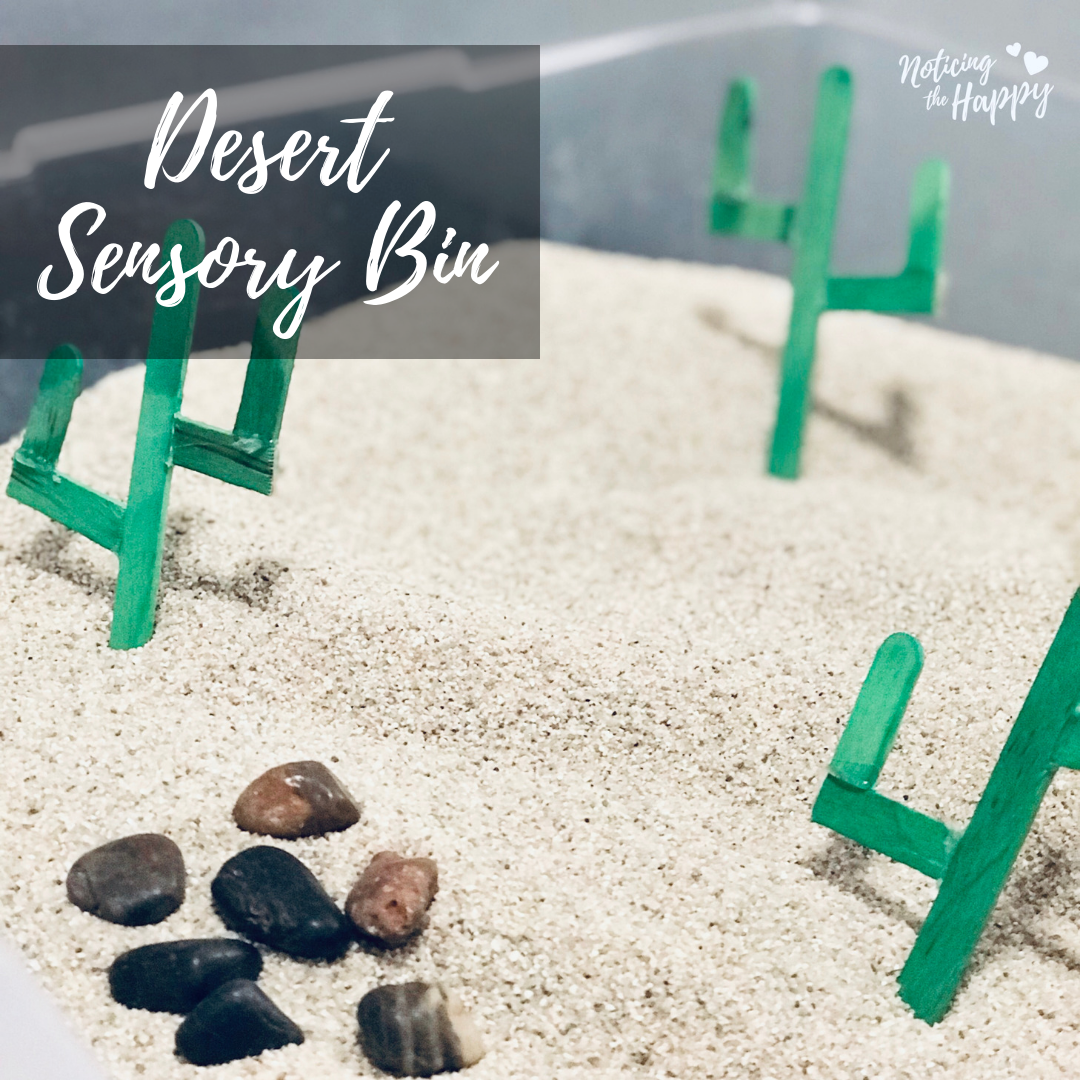 Desert Sensory Bin – Noticing the Happy